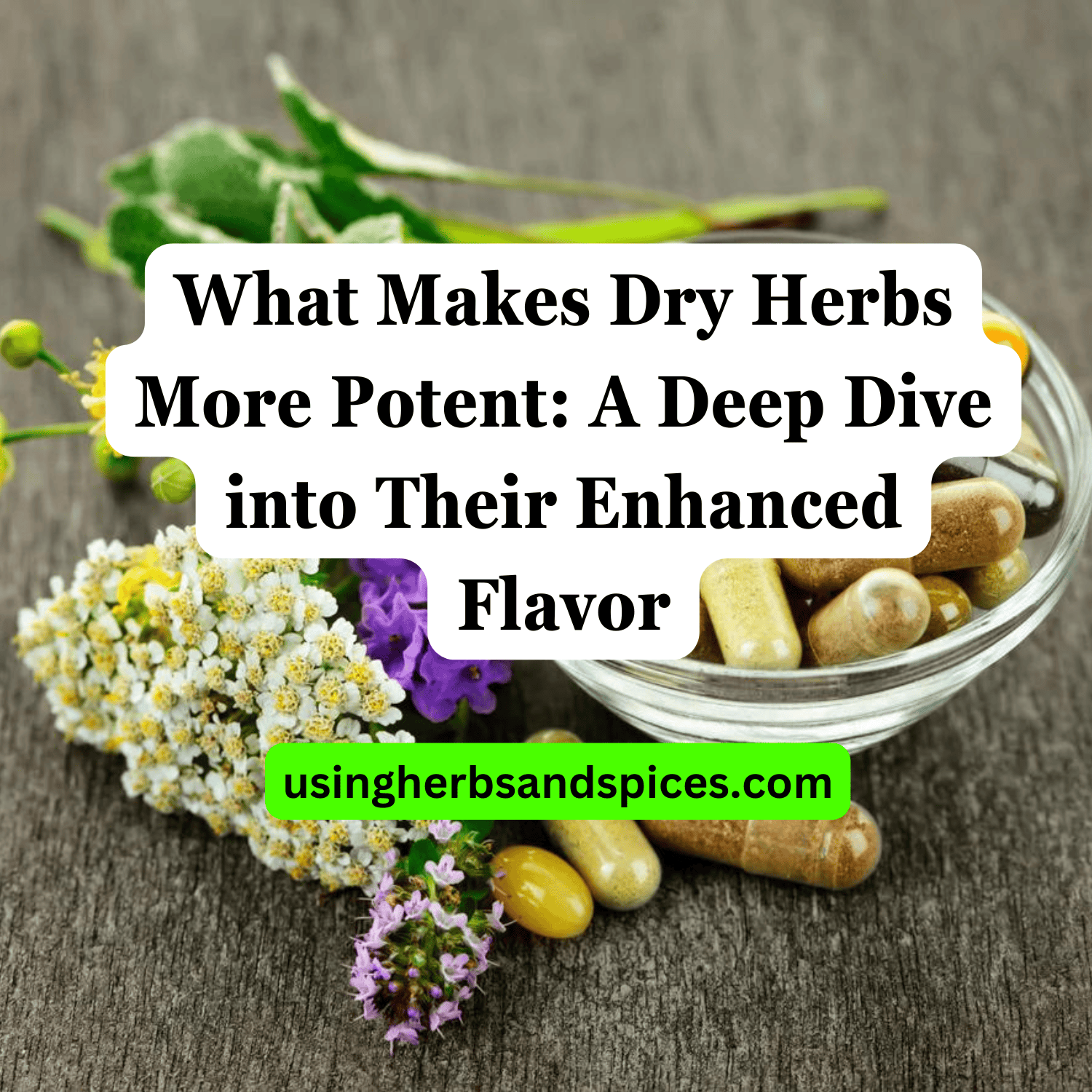 What Makes Dry Herbs More Potent: A Deep Dive into Their Enhanced Flavor - Using Herbs & Spices