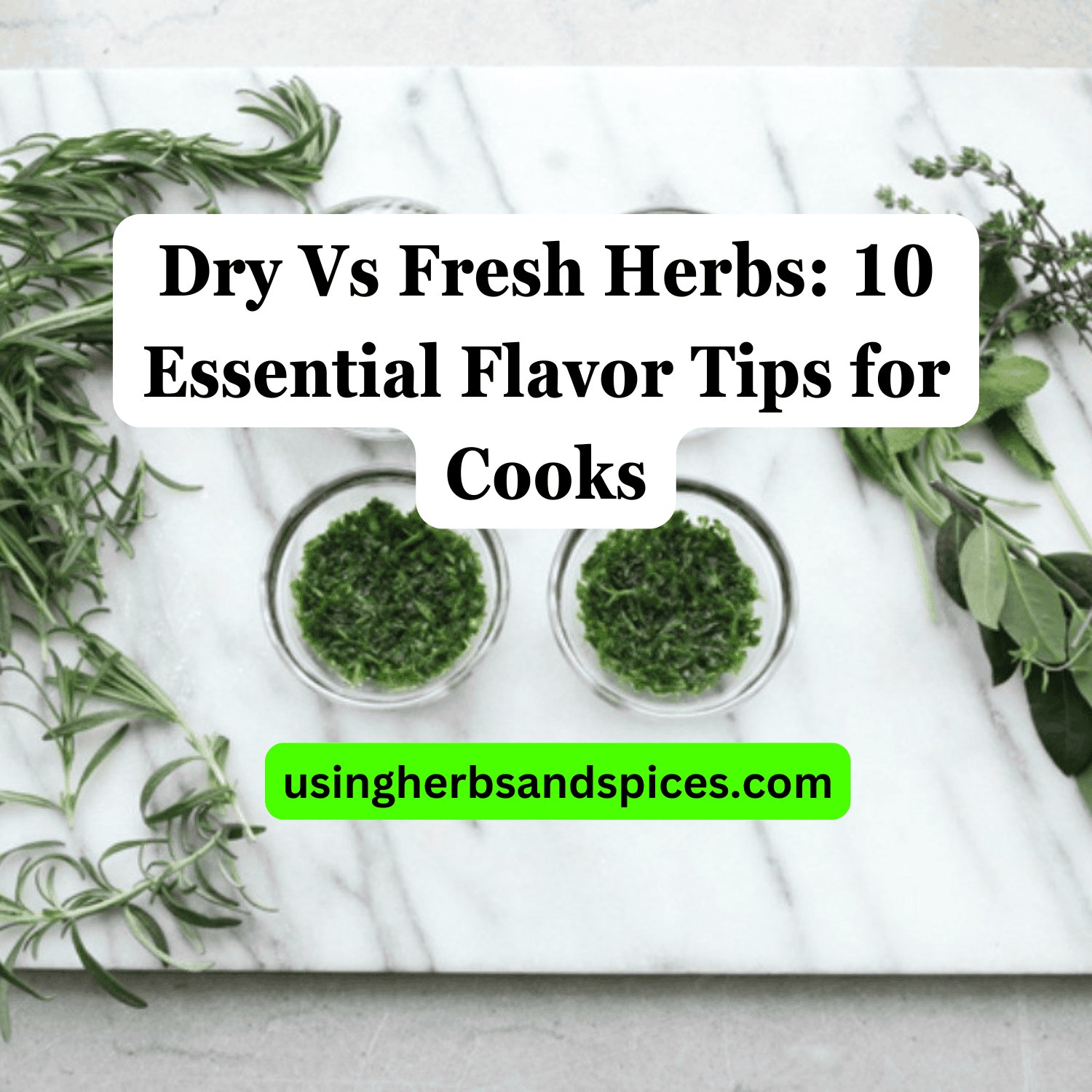 Dry Vs Fresh Herbs: 10 Essential Flavor Tips for Cooks - Using Herbs ...