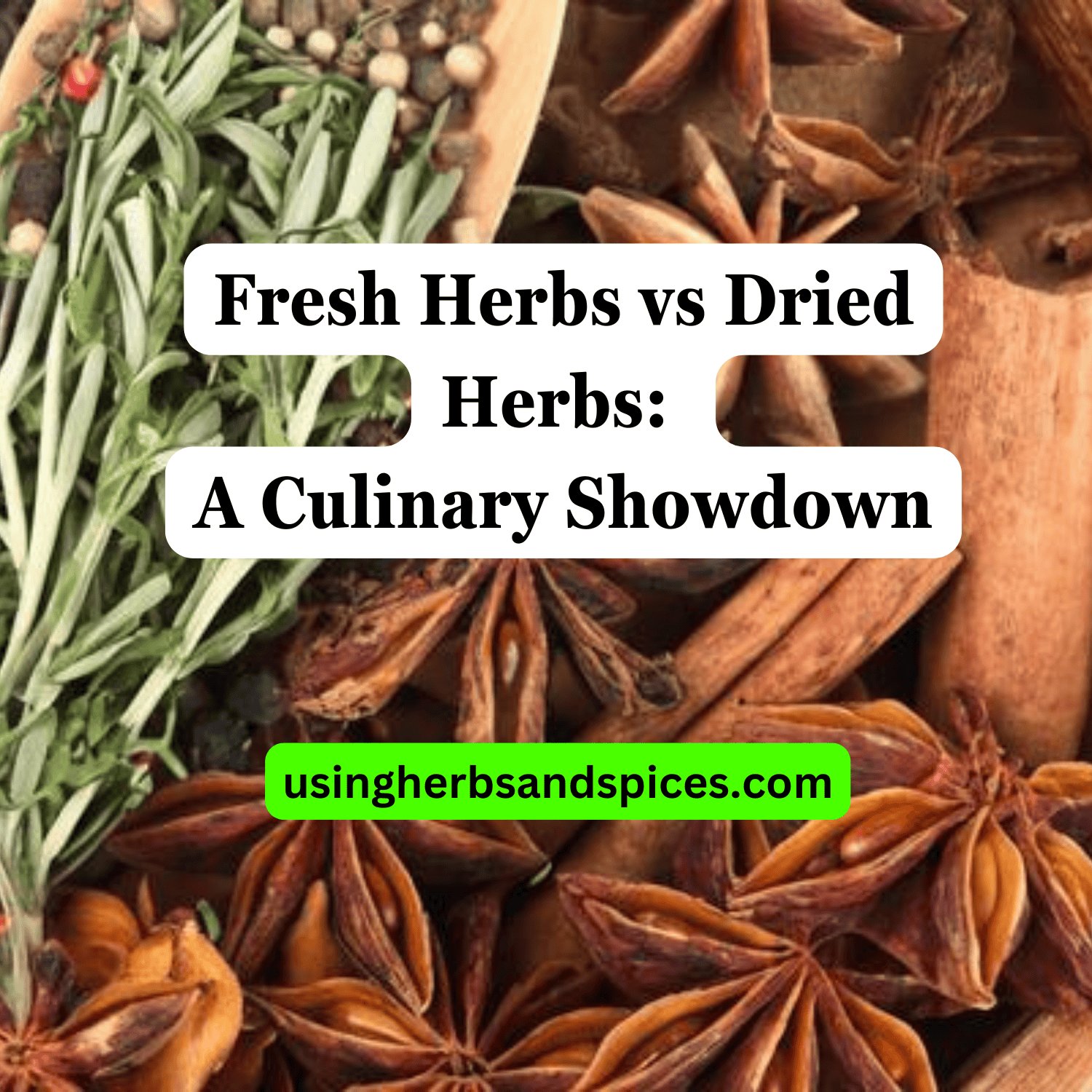 Fresh Herbs vs Dried Herbs: A Culinary Showdown - Using Herbs & Spices