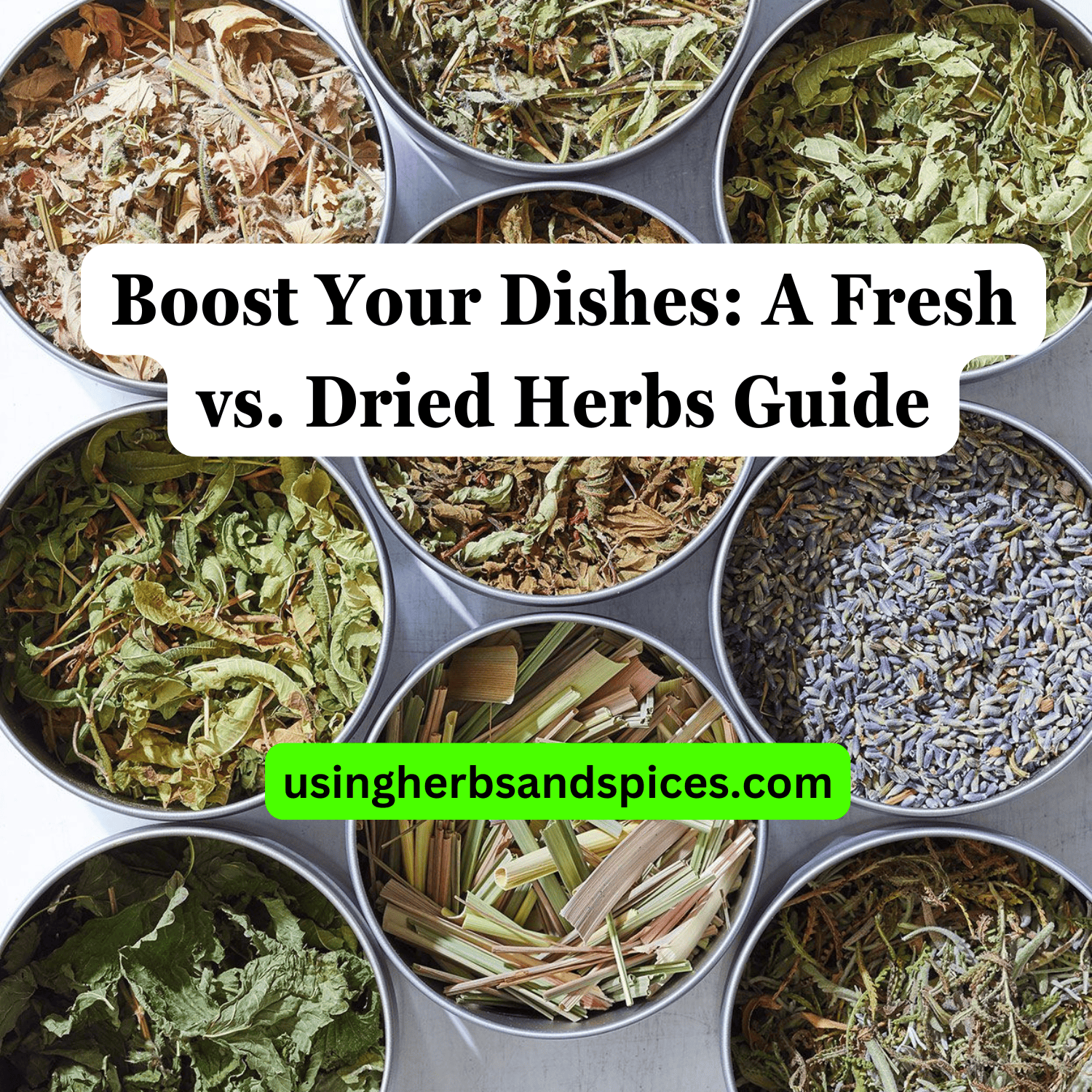 Boost Your Dishes: A Fresh vs. Dried Herbs Guide - Using Herbs & Spices