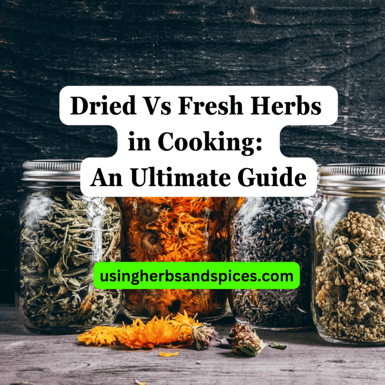 Dried Vs Fresh Herbs in Cooking: An Ultimate Guide - Using Herbs & Spices