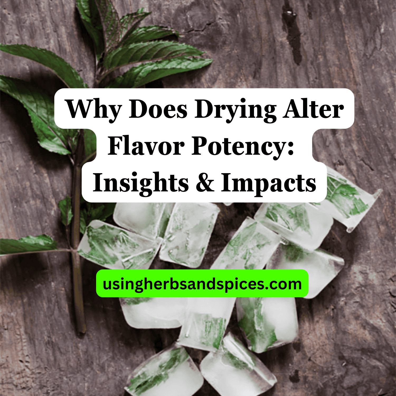 Why Does Drying Alter Flavor Potency: Insights & Impacts - Using Herbs ...