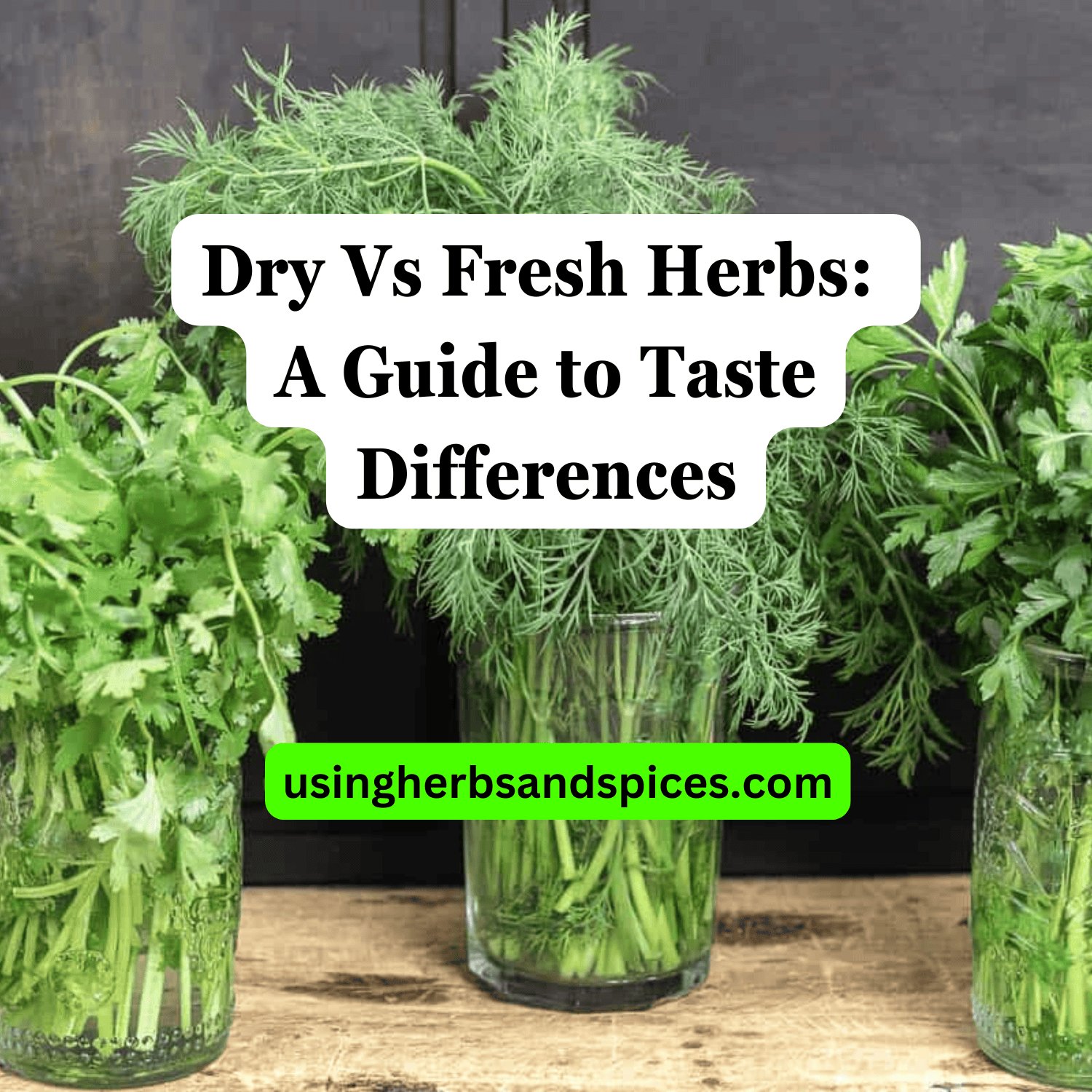 Dry Vs Fresh Herbs: A Guide to Taste Differences - Using Herbs & Spices